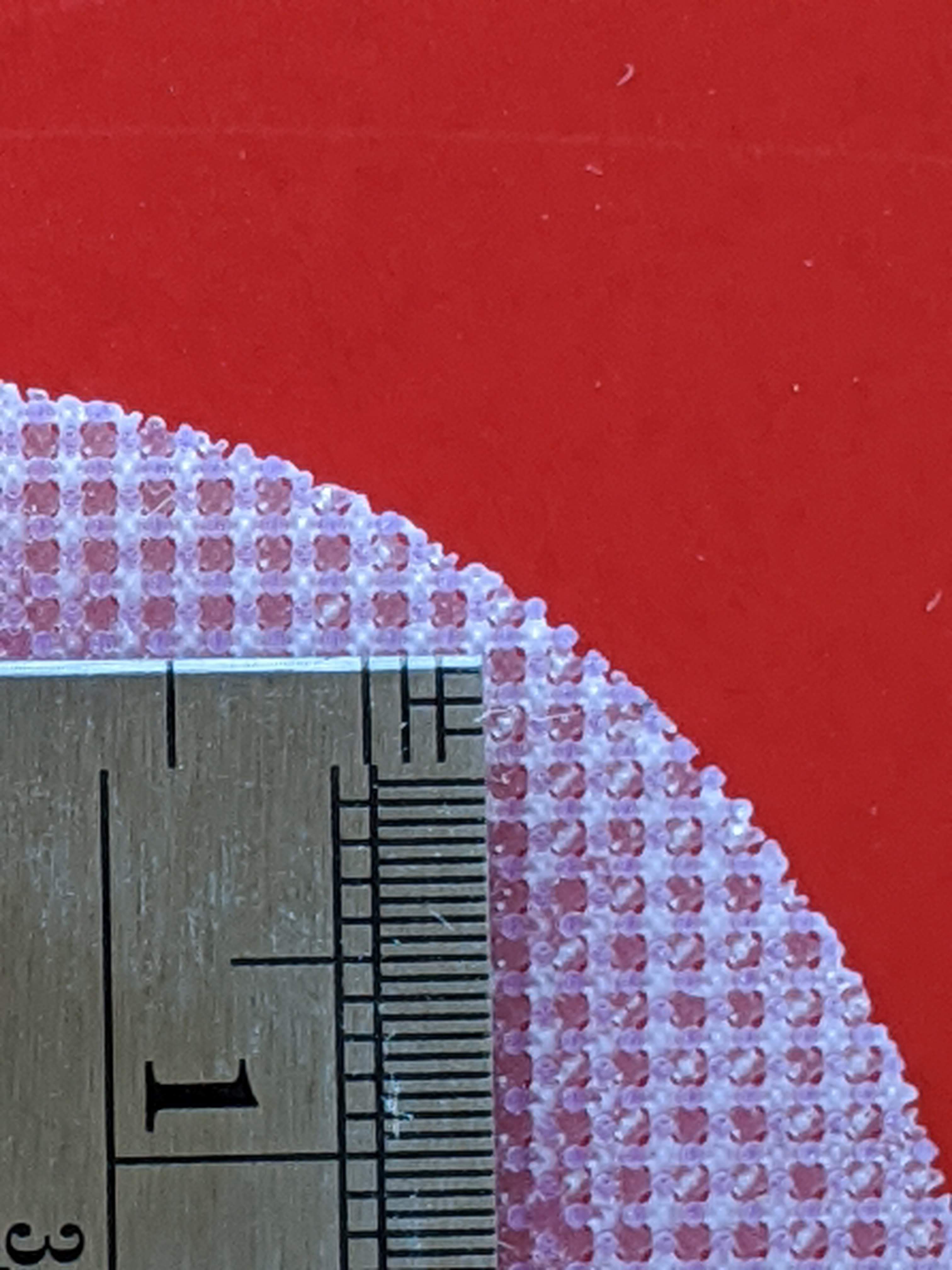 José Tomás Domínguez